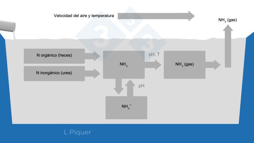 La fórmula importa: bagazo de cerveza y emisiones de gases del purín - Artículos - 3tres3, la ...